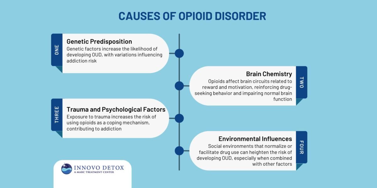 Opioid Addiction: Signs, Risks & Recovery | Innovo Detox